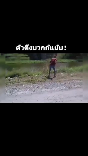 #HaierUVAirPower #ต่อยมวย #ต่อยลิง #ลิง #ตัวตึง