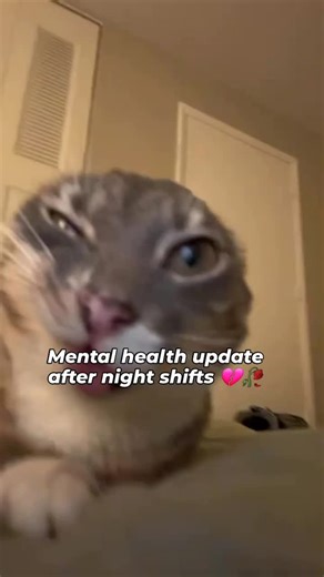 Musa on Instagram: "Like ❤️ and follow 😜 #corporatelife #corporatememes #officememes #nightshiftlife #nightshiftproblems #workingprofessionals #officefrustration #corporatestruggle #9to5life #lateworkhours #worklifememes #officestress #corporatehumor #deskjoblife #hustleculture keywords (15): [memes, corporate life, corporate memes, office memes, night shifts, night shift jobs, working professionals, office stress, late working hours, 9 to 5 job, corporate culture, desk job, office frustration,