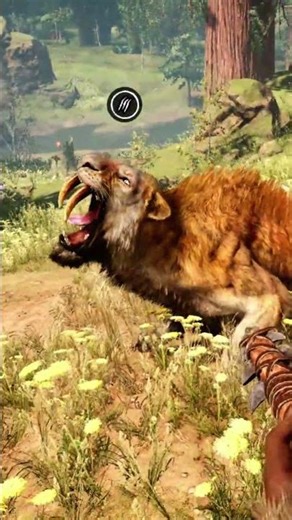 "Ferocious Showdown - Sabertooth Tiger vs. Wolves | Far Cry Primal Gameplay" #gaming #gameplay