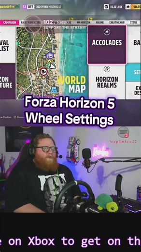 Forza Horizon 5 Wheel Settings Guide