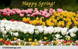 Happy And Colorful Spring Wishes.