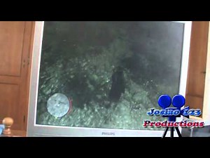 Red Dead Redemption 100 Snakes Bug