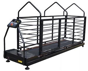 [Hot Item] Electric Dog Running Machine Pet Dog Treadmill Perfect for Home Use