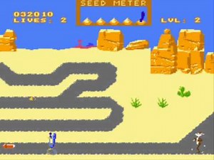 Road Runner (NES)
