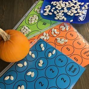 Pumpkin Math Investigations