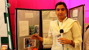 Science Fair Project Plastic into lumber