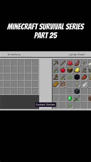 Minecraft survival series part 25