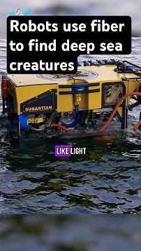 How deep sea robots discover new creatures without WiFi or 5G