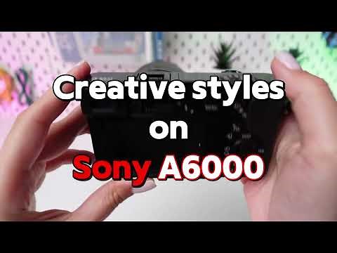 Sony A6000: Creative Styles & Picture Effects Unleashed