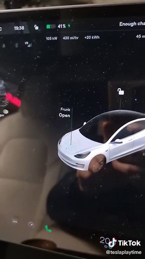 Tesla Playtime on TikTok