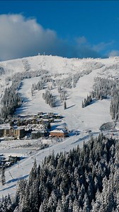 A fresh 5" of new snow in the village and our snowmaking machines are running strong 💪 Black Friday 3-Pack Deal is available now! Ski or ride for $83 per day ⛷️ Don't miss out, this deal is only good through Cyber Monday! Ikon Pass | Schweitzer