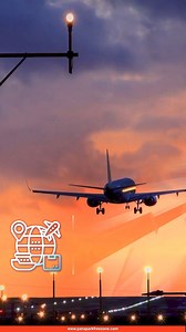 28K views · 141 reactions | Panapark Free Zone: espacio real para...