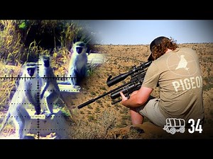 Airgun Monkey Hunting: “Primate Politics” | Oxwagon Diaries, pt.34