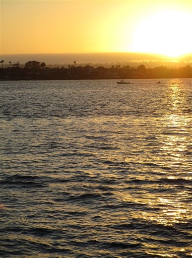 Are you Deaf and searching for a church to go to? We have one just for you!! We have a loving community that would love to see you tomorrow at 10:30am! Comment below for details or if you are interested! #americansignlanguage #God #ASL #churchofjesuschristoflatterdaysaints #deaf #church #jesuslovesyou #sunday #sundayfunday | Come unto Christ in ASL San Diego