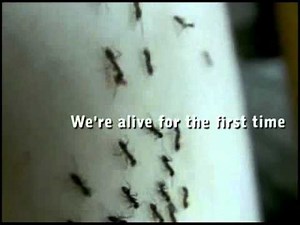 Modest Mouse- 'Lives'