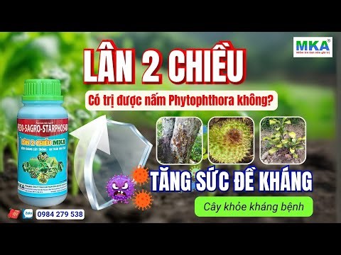 What is 2-way phosphorus? Can 2-way phosphorus treat phytophthora fungus? Understanding 2-way ant...