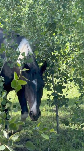 154K views · 13K reactions | It’s hard to put into words how...