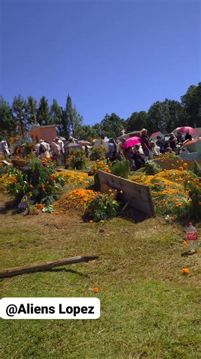 Aliens Lopez on Reels