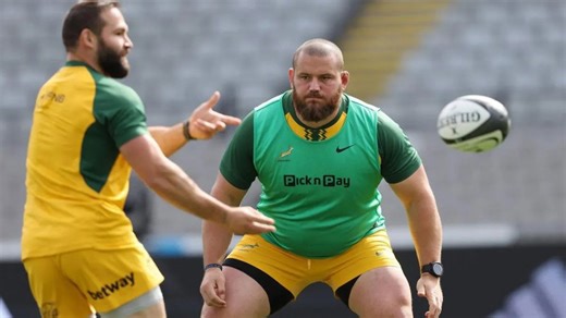 There is more to the scrum than just trying to pulverise people, says Springboks' Wilco Louw