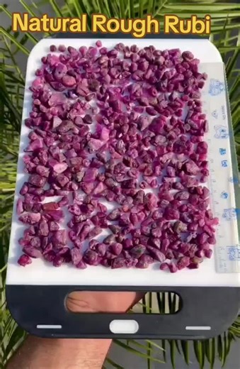 Amazing Nice colour of natural Rough Ruby. Weight: 420 grams Lot. For Sale available. #creatorsearchinsights#mineral #tourmaline #unitedstates #crystal