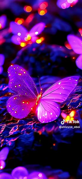 WallPics Butterfly Live Wallpaper 4K Ultra HD