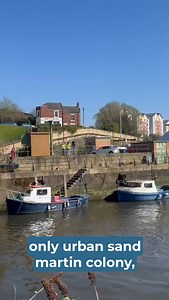 23K views · 286 reactions | We’re very excited to be part of a...