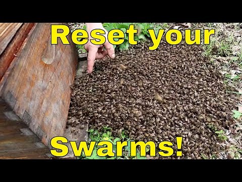 Keep your Swarms from Leaving!