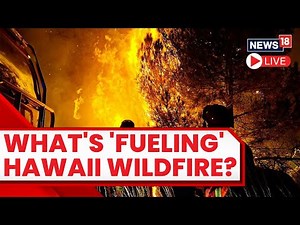 Hawaii Wildfire Live News | Deadly Wildfires Devastate Hawaii’s Maui Island | Maui Fires Today News