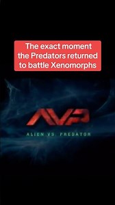 ALIEN VS PREDATOR TITLES #predator #predators #thepredator #avp #alienvspredator #xenomorph