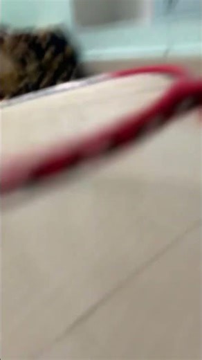 Izoom smash pro X-ray s-991 racket at ₹999