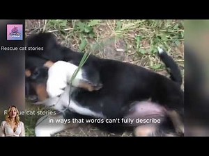 Shocking! Horrifying Botfly Larva Found on Puppy #dogrescue #dog #rescuedog #doglover