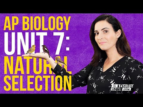 AP Biology Unit 7: Natural Selection Summary