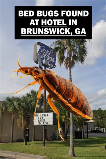 Yuck!冷 Guest Cottage & Suites. in #brunswickga yall are gross! #nastyasf #healthinspection #failed #bedbugs #roaches #filthy #trendingvideo #virals | Alfred J. Drake Jr. | Facebook