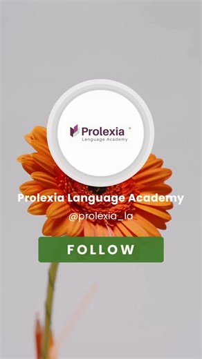 Prolexia Language Academy | When Prolexia Language Academy calls, your language journey just got personal. ========================================= Ready to start... | Instagram