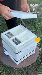 Two reasons why beekeepers use a handful of nurse bees while creating the nuc are that nurse bees are specialised in feeding the queen and they won't fly back to their original hive For full videos, check these channels: @BeekeeperShorts - YouTube | OneQueen.ro