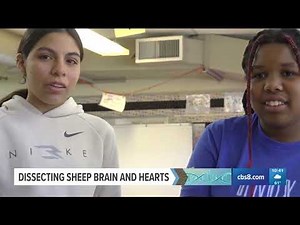 CBS 8 Story: Middle School Students Showcase STEM Skills