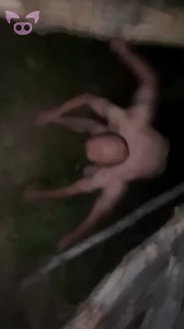 45K views · 220 reactions | Monster Attacks Campers!  | Slapped Ham | Facebook