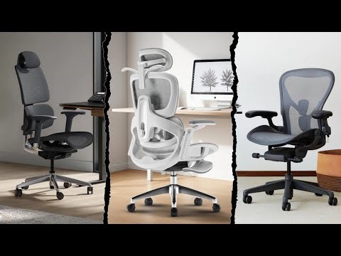 10 Best Ergonomic Office Chairs 2025! Here’s the Best One