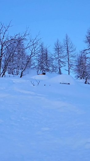 it’s this time of the year again crows. ski sauvage is back this winter, our live ski tests with arrogant skiers, cold lips bared teeth, and sometimes special guests… So beautiful that we wonder on which planet we are living. Stay tuned for the 25.26 calendar coming very very soon! #blackcrows #skiing | black crows skis