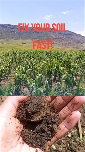 Soil types explained: Grow your own food