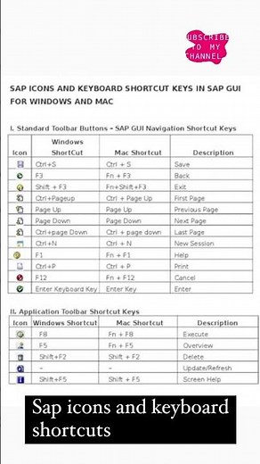 Sap icon and keyboard shortcuts#sap#computereducation#function#viralvideo