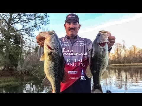 MLF Bass Pro Jared Lintner Pre Spawn Fishing Live on Lake Seminole