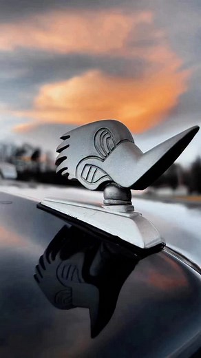 “Mr. Horsepower” 🐦 #FORSALE Built and Cammed 355 with Nitrous/ NOS Setup and Posi Rear End! Complete Sleeper Squarebody and It will Absoluyte Get IT! Even without the Red Button! Automatic Transmission, Mint Condition Stock Interior. Absolutely Beautiful Pickup with Flawless Engine Bay with ICE COLD AC! ~FREE Enclosed Delivery! We Handle It All! ~FINANCING AVAILABLE with Just 10% Down! Call/Text: 606-776-2886 Email: HotRodDirty@yahoo.com SHOP: www.HotRodDirty.com #squarebody #c10 #squarebodyc10