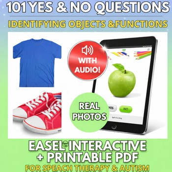 YES NO QUESTIONS: Objects | Autism Speech Therapy Visual Activities