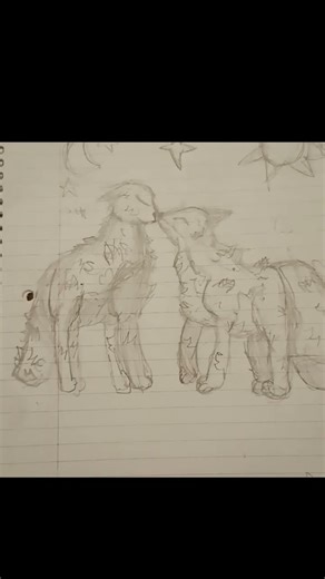 𝚊 #fox #wolfdrawing