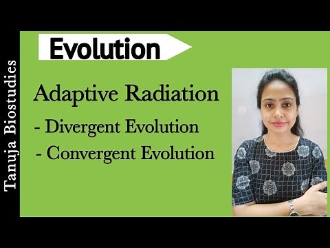 Evolution - Adaptive Radiation |Divergent Evolution Vs Convergent Evolution | Galapagos Island |NEET