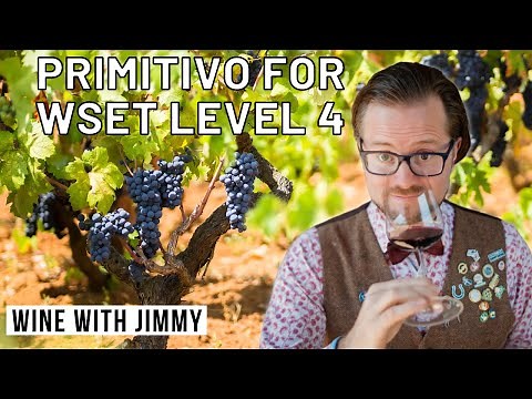 Puglia Part 3: Primitivo Wines for WSET Level 4 Diploma