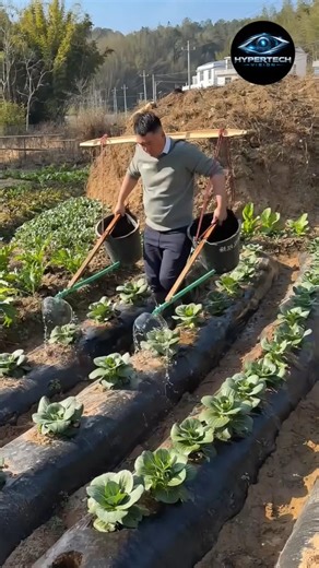 Efficient Dual Bucket Irrigation for Precision Farming