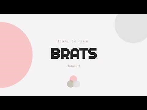 How to use BraTS dataset?