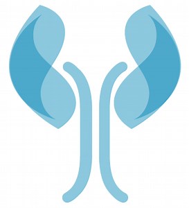 Sacral Neuromodulator Insertion — Gold Coast Urology